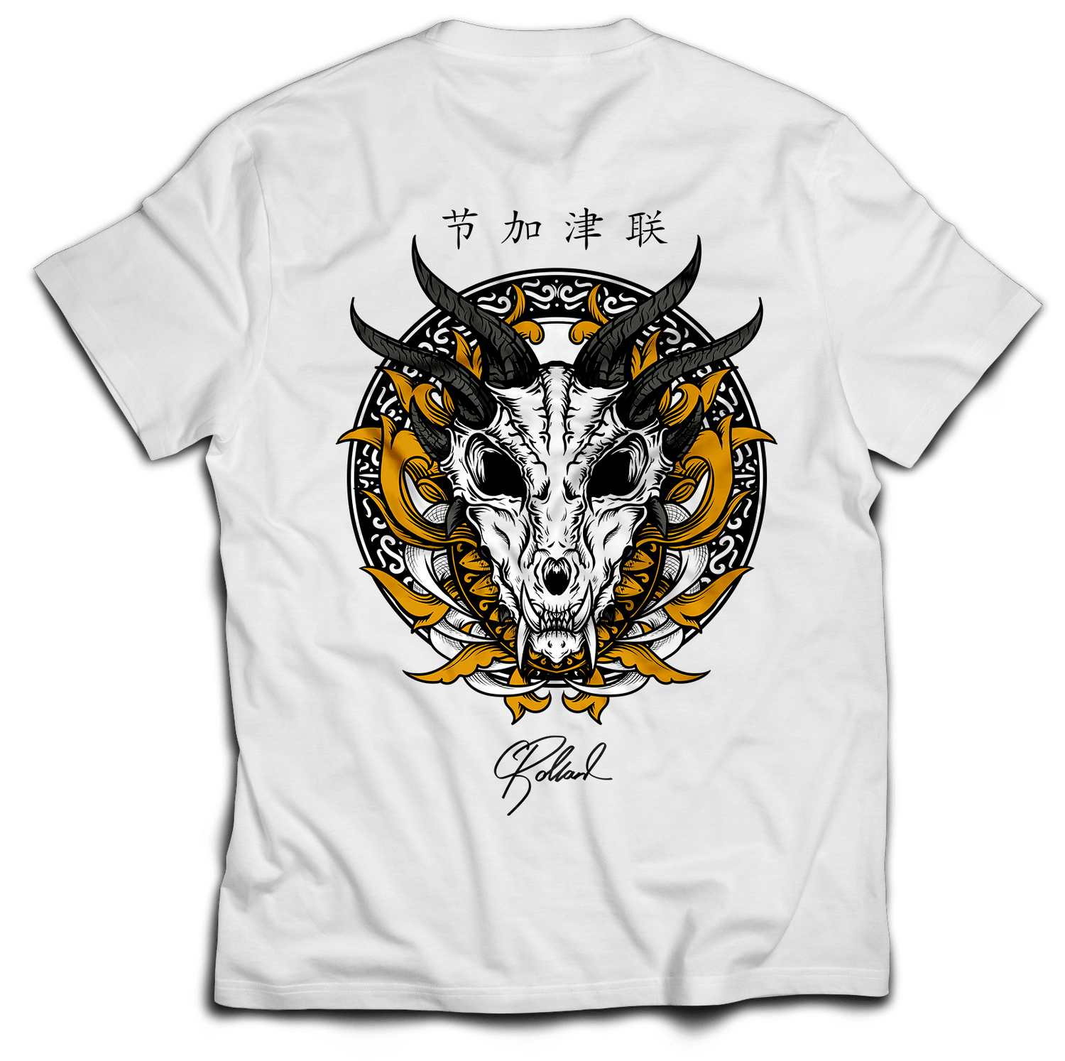 Cole Rolland | Official Website